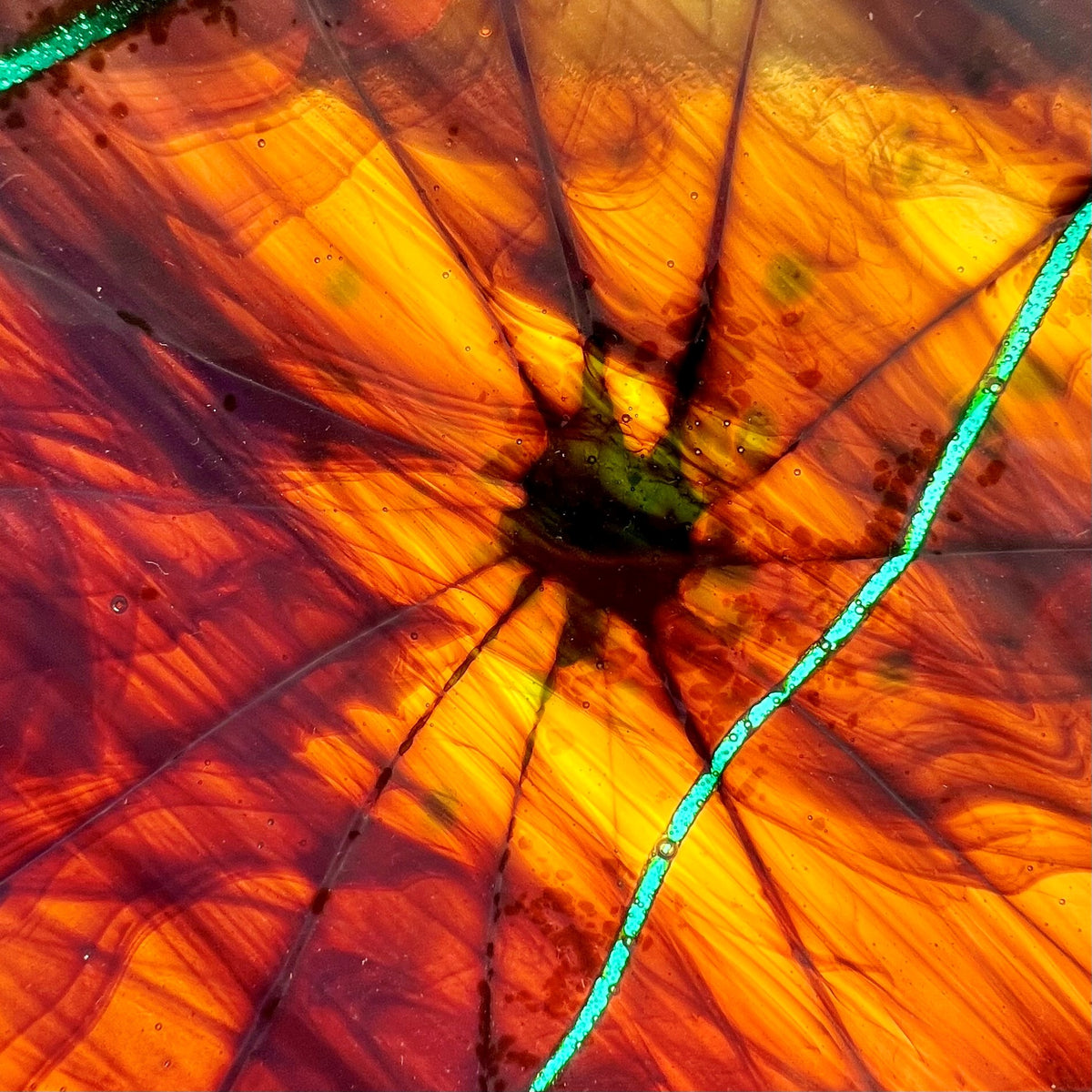 CREATIVE PARADISE PATTY GRAY DAMS – Grand River Glassworks